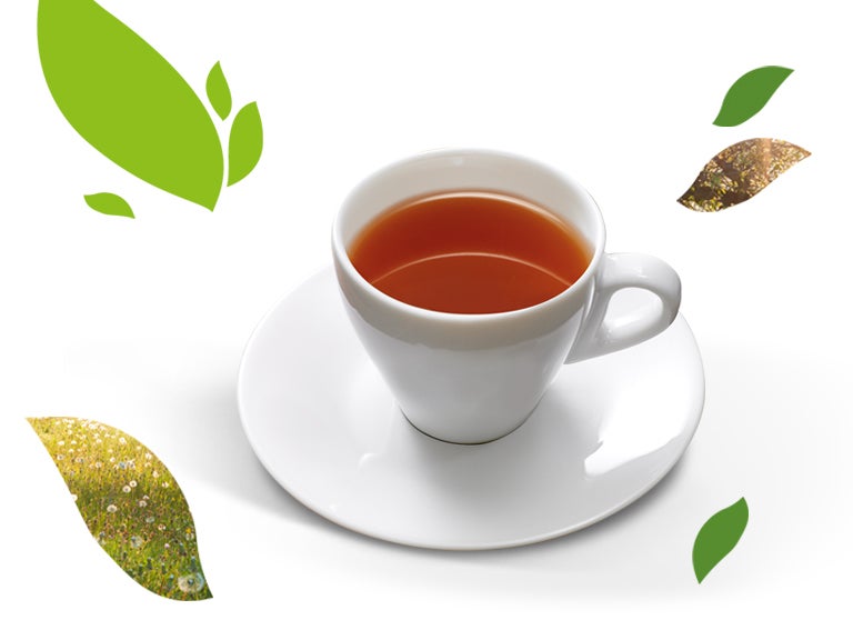 Découvrez nos Thés NESTEA® | Nestlé Professional
