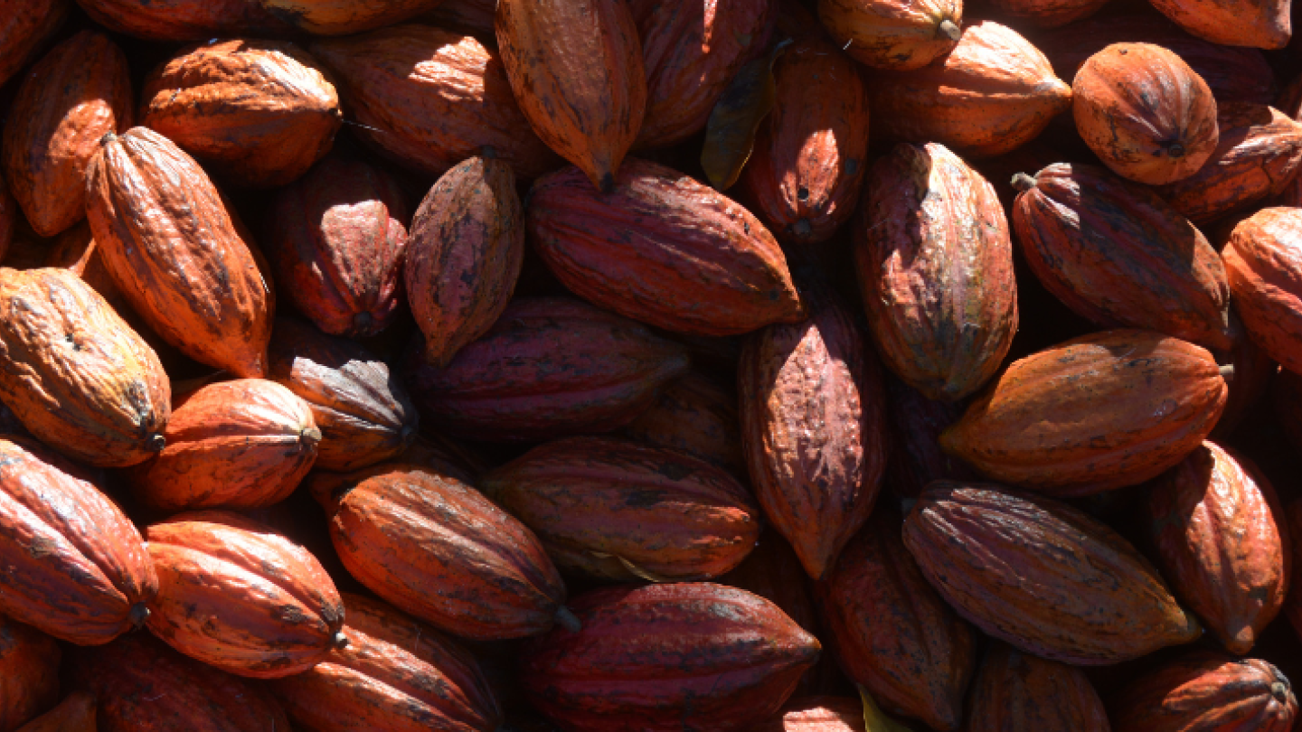 NESTLÉ® ET RAINFOREST ALLIANCE : NOTRE ENGAGEMENT POUR UNE PLUS GRANDE ...